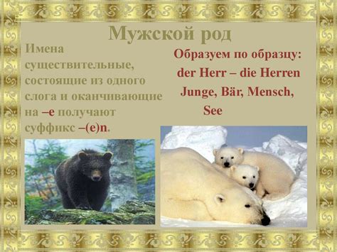 Образование множественного числа имён существительных в немецком языке презентация онлайн