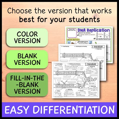 Dna Replication Doodle Notes Emmatheteachie Dna Replication Doodle Notes Emmatheteachie