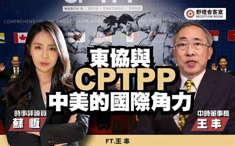 东协与cptpp中美的国际角力 Ft 王丰【野礼会客室】 苏恒台湾 苏恒台湾 哔哩哔哩视频
