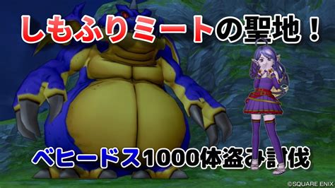 しもふりミート金策の絶対王者！ベヒードス1000体盗み討伐！ ドラクエ10ブログ ウェイル＆ミーティアのアストルティアリサーチ