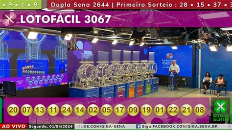 Consulte os números do resultado da Lotofácil 3067 do sorteio de