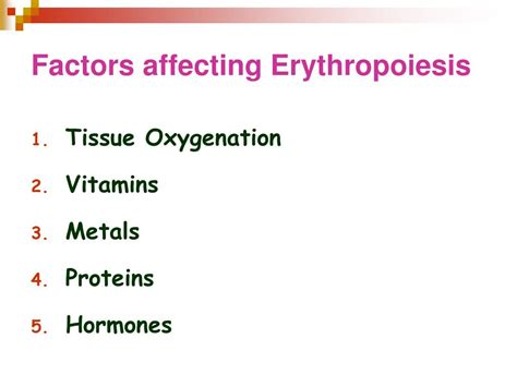 Ppt Regulation Of Erythropoiesis Powerpoint Presentation Free