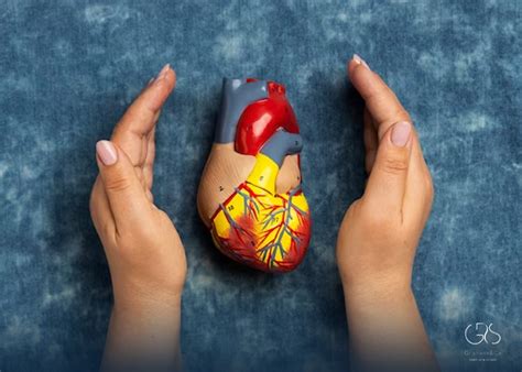 HDL Cholesterol Unlocking The Secrets To Heart Health