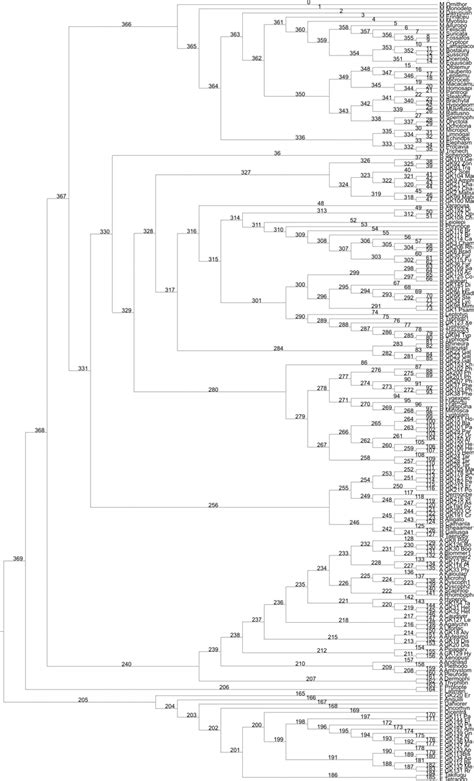 Figure S2 Ultrametric Tree Obtained By Acr Analysis Using