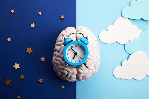 若い世代に脳機能の低下が生じ始めた睡眠負債を悪化させる 寝だめ の怖い影響Infoseekニュース