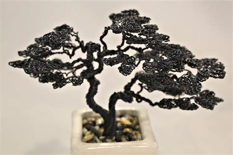 Semi Matte Black Twin Trunk Sokan Bonsai Sold Forests And Flowers