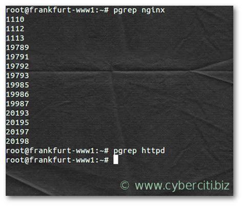 Bash Check If Process Is Running Or Not On Linux Unix Nixcraft