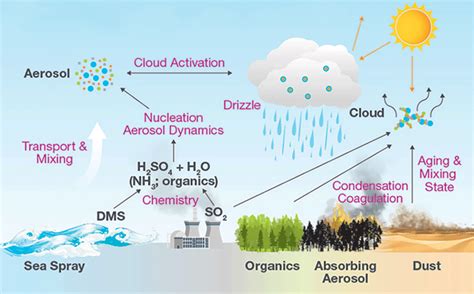 Bnl Aerosol Processes And Measurement Environmental Science And