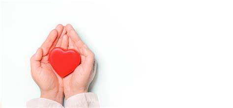 흰색 배경에 의사의 손에 빨간 마음 의료 및 병원 의료 개념 장기 기증 개념 발렌타인 데이의 상징 심장의 날 오피 공간