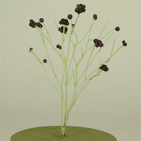Schematic Model Trees