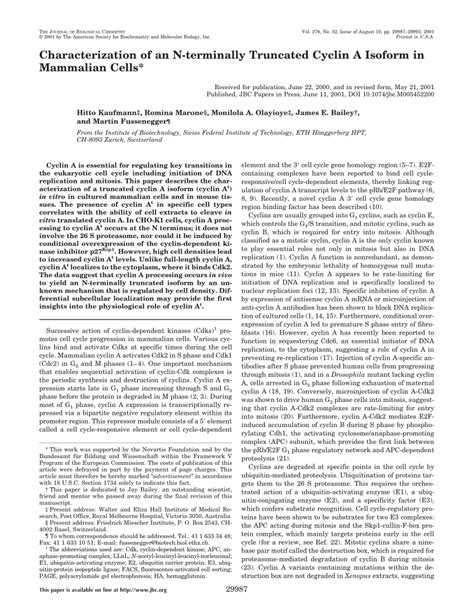 PDF Characterization Of An N Terminally Truncated Cyclin A Isoform In