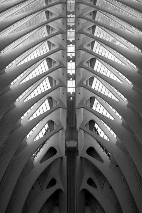 가벼운 강철 건설 건축 세부 관념적인 구성 구조 구조 설계 그래픽 그림자 기하학적 깨끗한 라인 대칭의 도시의 둥근 천장 모더니즘 미니멀리스트