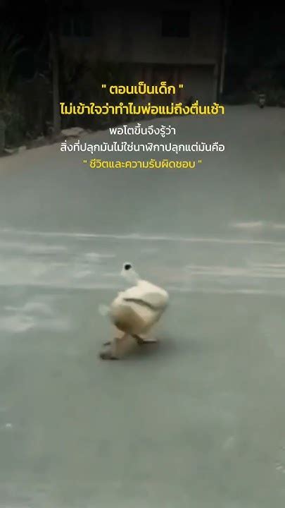 คพคม Youtube