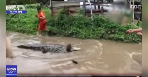 [이 시각 세계] 인도 도심 한복판에 악어 출몰 비상