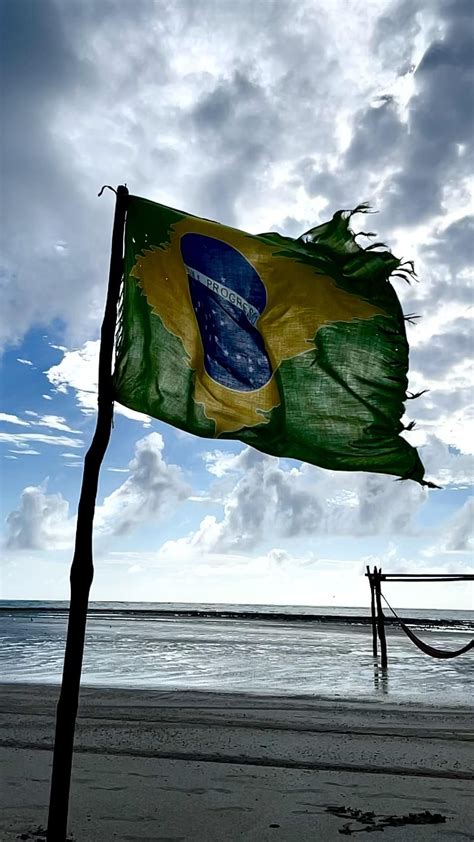10 Ideias De Bandeira Do Brasil Foto Bandeira Do Brasil Foto