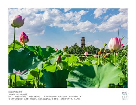 如何“一展”阅尽新西安？澎湃陕西澎湃新闻 The Paper