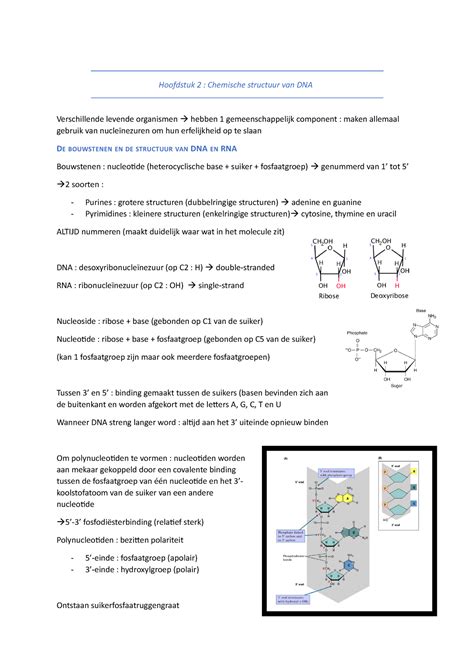 Hoofdstuk 2 Chemische Structuur Van Dna Hoofdstuk 2 Chemische