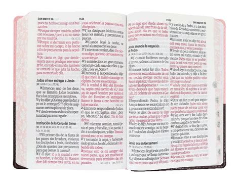 Reina Valera 1960 Letra Gigante Tienda Sociedad Bíblica