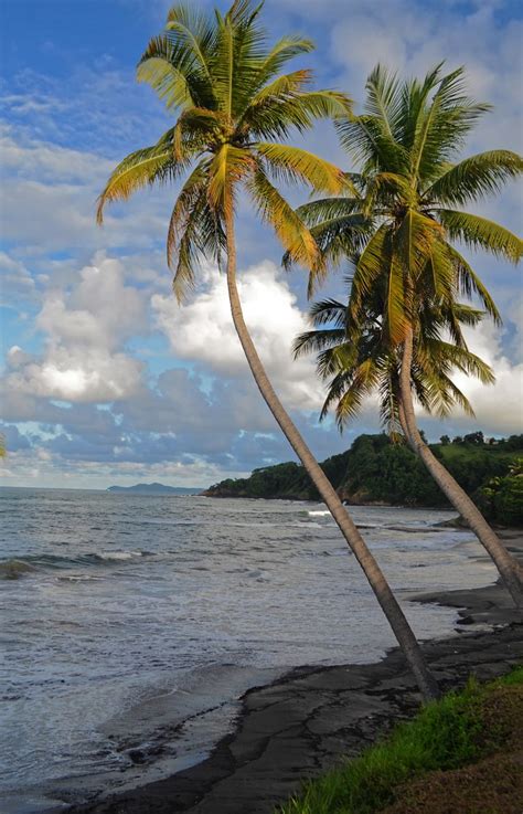 Martinique Bernard Van Parys Flickr
