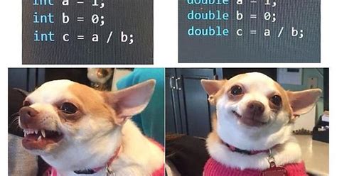 Another Programmer Meme Album On Imgur