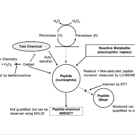 Sensitivity And Specificity Of H Clat Method Compared With Both Llna