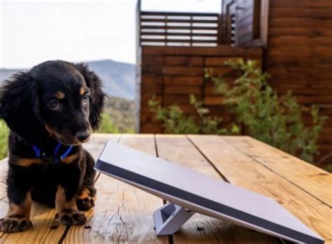 सीम कार्ड हुआ पुराना Elon ने उतारा Mini Spacex इंटरनेट डिवाइस चलते