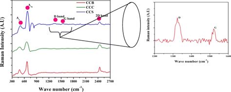 Ft Raman Spectra For Ccb Ccc And Ccs Download Scientific Diagram