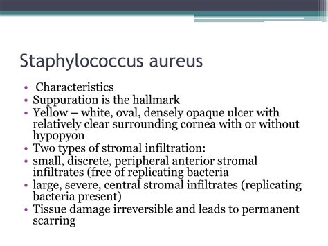 Bacterial Corneal Ulcer 2 Pptx Cornea Pptx