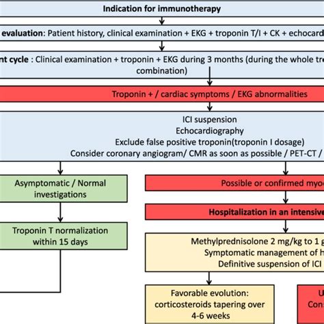 Proposed Algorithm For Diagnostic Workup And Management Of Immune Download Scientific Diagram