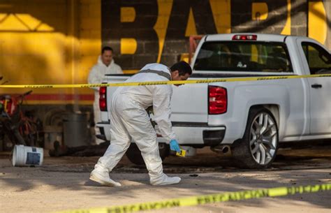 ¿cuántos Activistas Han Sido Asesinados En México Durante 2024 La