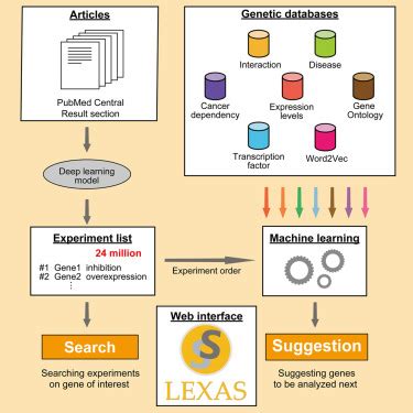 Predicting Potential Target Genes In Molecular Biology Experiments