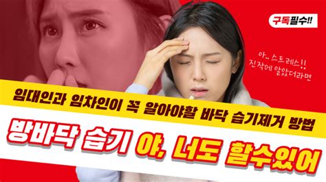 방바닥 습기 한 겨울에 더 심한 이유는 실제 공사 사례로 분석 네이버 블로그