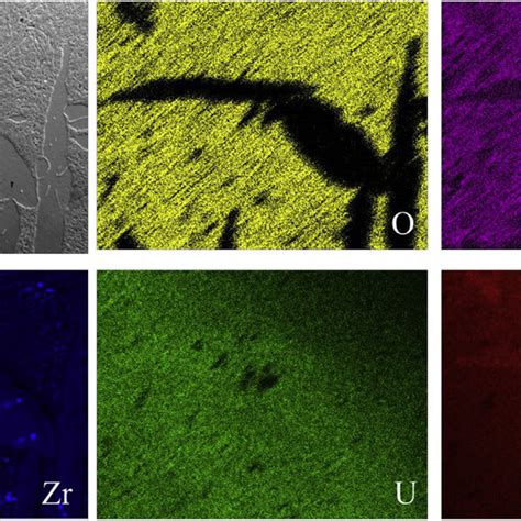 Scanning Electron Micrograph And Corresponding X Ray Maps Of The Phases