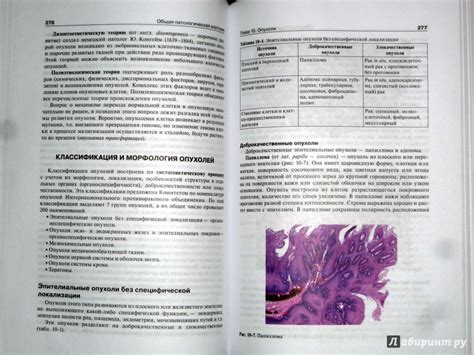 Книга: Патологическая анатомия. Учебник - Струков, Серов. Купить книгу ...