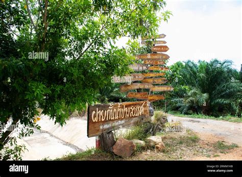 View Landscape Mountain And Nature Background Of Pang Sawan Weir Or