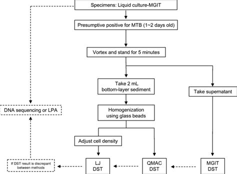 a flowchart explaining the procedures of inoculum preparation based on
