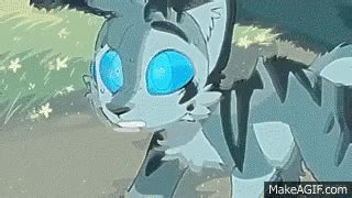 Warrior Cats  Warrior Cats Discover And Share S