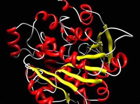 Why We Can Trust Scientists With The Power Of New Gene Editing Technology