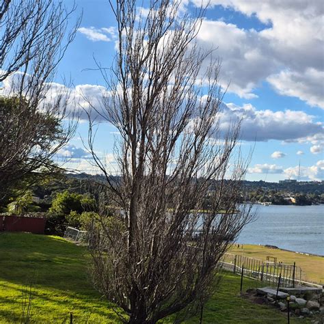 Sean Abel Sean Abei • Instagram Photos And Videos