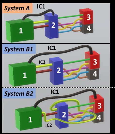 A Simple Illustration Of System Architecture And Spatial Topology Download Scientific Diagram