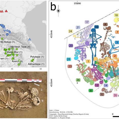Estimation Of Genetic Relatedness Of Newly And Previously Sequenced