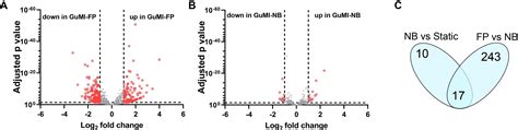 Faecalibacterium Prausnitzii A Metabolizes Host And Media Derived Chemicals And Induces