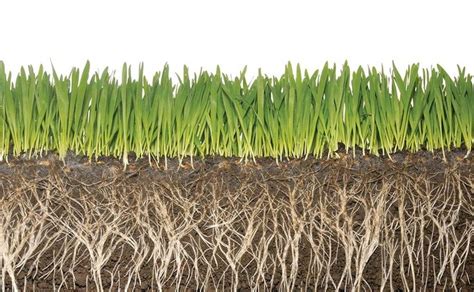 Soil Carbon Code For UK Farmers To Be Developed Farm News Farmers Guardian