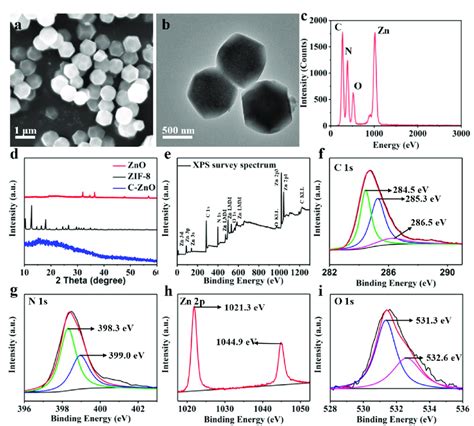 A Sem Image B Tem Image And C Corresponding Eds Spectrum D