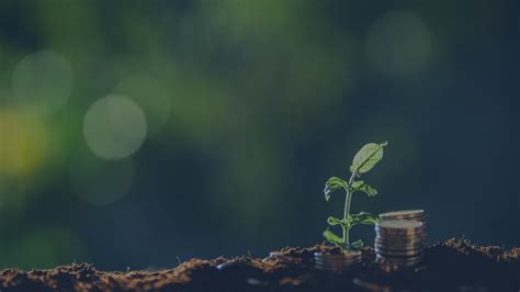 Les 17 Objectifs De Développement Durable And Leurs 169 Cibles