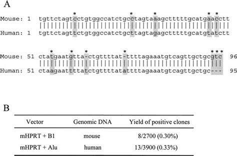 Isolation Of The Human Hprt Gene By A Tar Vector Containing A Mouse