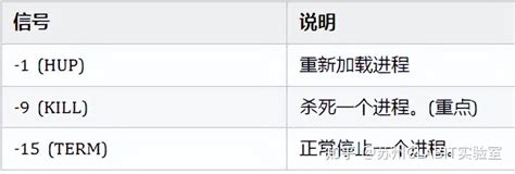 一文搞定Linux面试必备20个常用命令 知乎