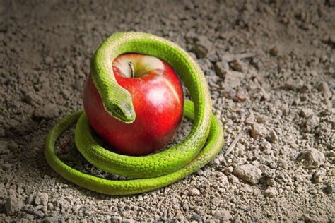 How The ‘bioterrorism Era Began The Epoch Times