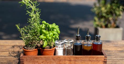 야외 환경에서 즐기는 신선한 허브와 조미료 · 무료 스톡 사진