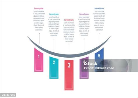 5 가지 옵션 인포 그래픽 템플릿 돔과 막대 차트가 있는 인포그래픽 템플릿입니다 인터넷 교육 사업 연간 보고서 잡지 정보 템플릿